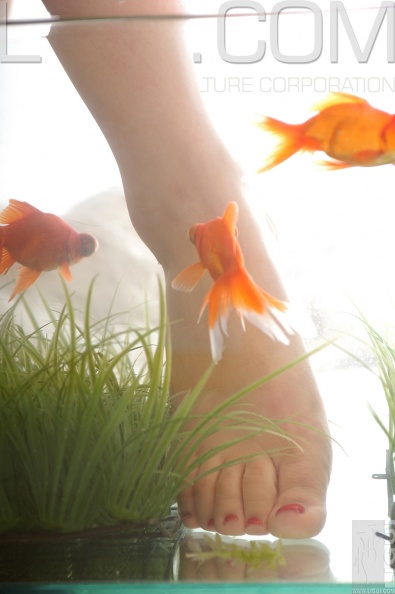 dsc 0132 | （福妹）主题相册